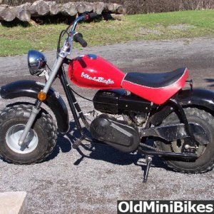mini_baja_pic2 | OldMiniBikes.com
