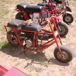 50th Tote Gote Anniversary | OldMiniBikes.com