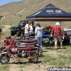 50th Tote Gote Anniversary | OldMiniBikes.com