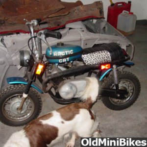 Arctic Cat | Page 5 | OldMiniBikes.com