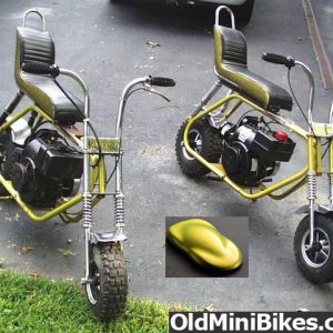 2_CATS-21 | OldMiniBikes.com