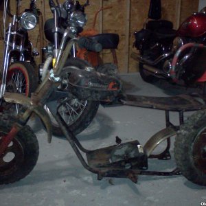 Speedway Shrike | OldMiniBikes.com
