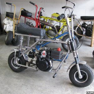 el tigre beater bike | OldMiniBikes.com