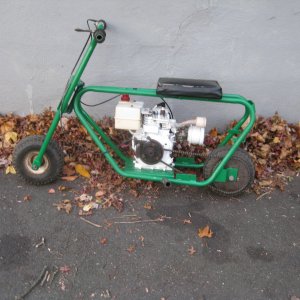 trail horse color change | OldMiniBikes.com