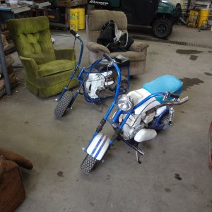 fox doodlebug build | OldMiniBikes.com