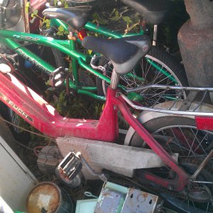 puch | OldMiniBikes.com