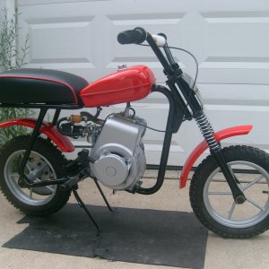 bird thunderbird | OldMiniBikes.com