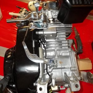 predator build | OldMiniBikes.com