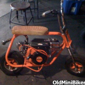 GT'S Cats | OldMiniBikes.com