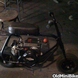 GT'S Cats | OldMiniBikes.com
