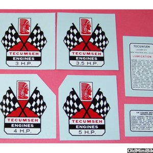 TEC_Flags | OldMiniBikes.com