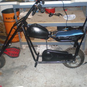 stellar | OldMiniBikes.com