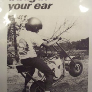 Bug Flea | OldMiniBikes.com