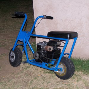 Bug Flea Pre 1970 | OldMiniBikes.com