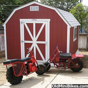 Bearkat | OldMiniBikes.com