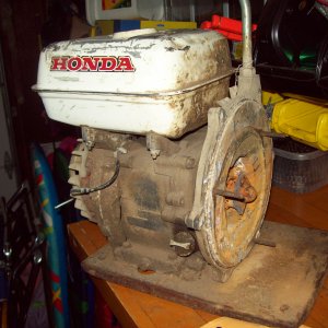 01462 | OldMiniBikes.com