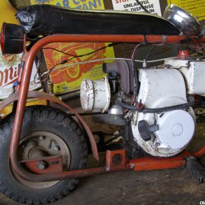 Fox Doodlebug | OldMiniBikes.com