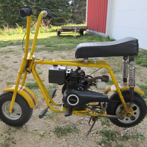 JC Penney Golden Pinto | OldMiniBikes.com