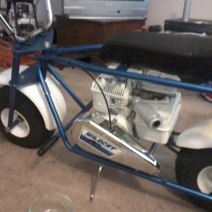 harrison wildcat | OldMiniBikes.com