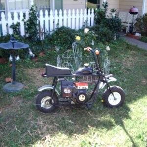 Rupp C250 | OldMiniBikes.com