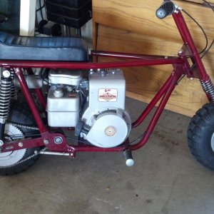 taco_5 | OldMiniBikes.com