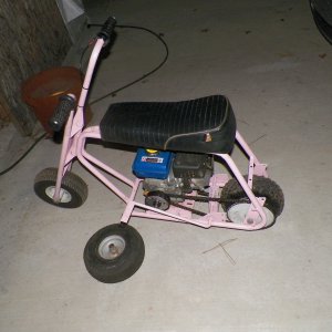 Alexander Reynolds | OldMiniBikes.com