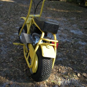 the wife's db30 build | OldMiniBikes.com