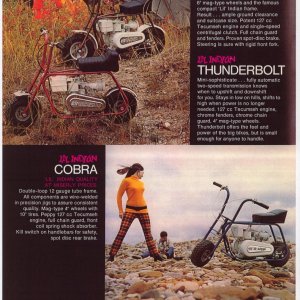 sabre_ad_photo | OldMiniBikes.com