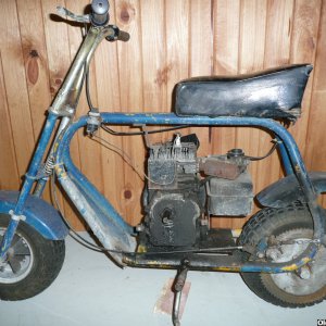 cat_300x_323 | OldMiniBikes.com