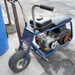 TOAD | OldMiniBikes.com