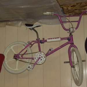 Picture_0087 | OldMiniBikes.com