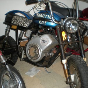 Gator's Mini Bike Collection | OldMiniBikes.com