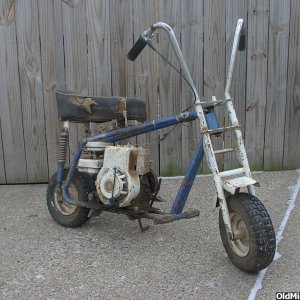 Bird Duck | OldMiniBikes.com