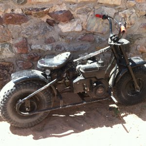 Trailsport Buffalo | OldMiniBikes.com