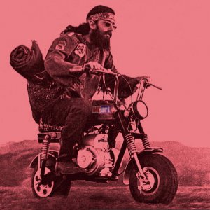 Easy-Rider-Mini-Bike | OldMiniBikes.com