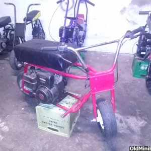 stellar | OldMiniBikes.com