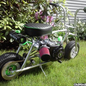 Taco Monster Frijole | OldMiniBikes.com