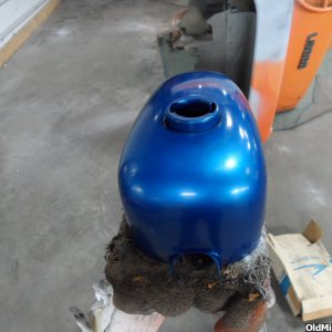 SAM_0355 | OldMiniBikes.com