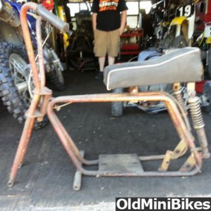 Bird | OldMiniBikes.com