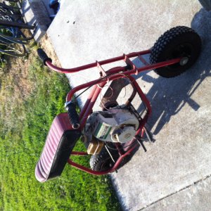 Cat 250 | OldMiniBikes.com