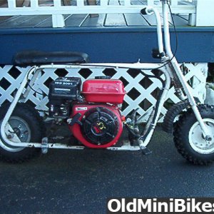 Bozo plate | OldMiniBikes.com