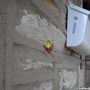 spider | OldMiniBikes.com