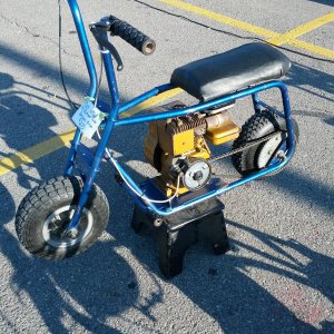 Ruttman Toad | OldMiniBikes.com