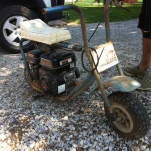 Trailhorse | OldMiniBikes.com