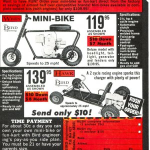 Bird Ad 1967 | OldMiniBikes.com
