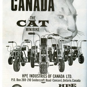 HPE Muskin Cat Ad 1970 | OldMiniBikes.com
