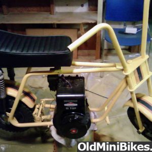 Golden Pinto | OldMiniBikes.com