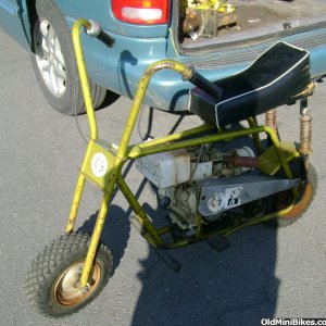Formost Golden Pinto, JC Penny, Bird | OldMiniBikes.com