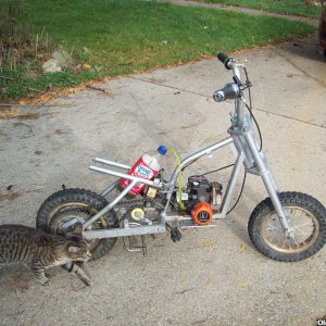 Koritz razor side by side | OldMiniBikes.com