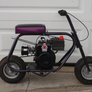 Cat | OldMiniBikes.com